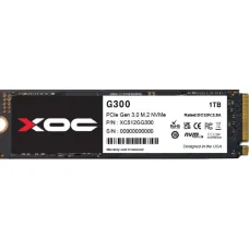 XOC SSD Price in Bangladesh | Star Tech